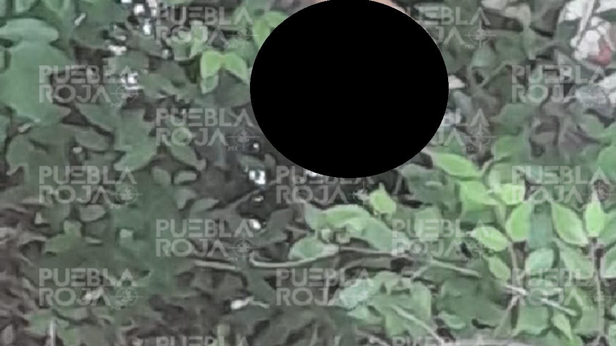 Mujer aparece muerta en el río Atoyac; aún no ha sido identificada ...