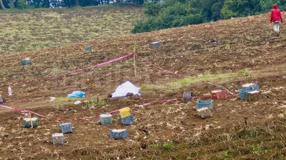 Tragedia en Tlatlauquitepec: muere hombre tras ser alcanzado por un rayo mientras cosechaba ...