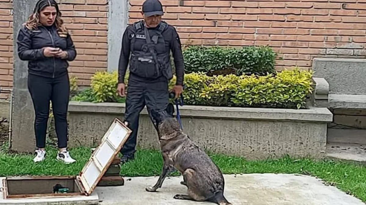 Tragedia: Itzel Díaz fue hallada sin vida dentro de una cisterna tras salir a cenar con un amigo ...